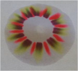 How to make Chromatography Flowers! – Chemicals Are Your Friends!