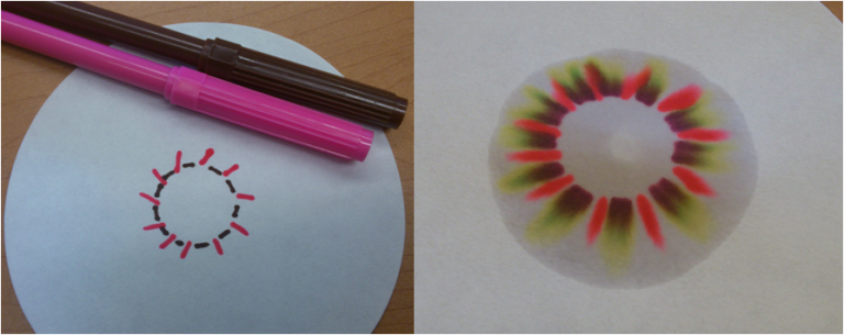 How to make Chromatography Flowers! – Chemicals Are Your Friends!